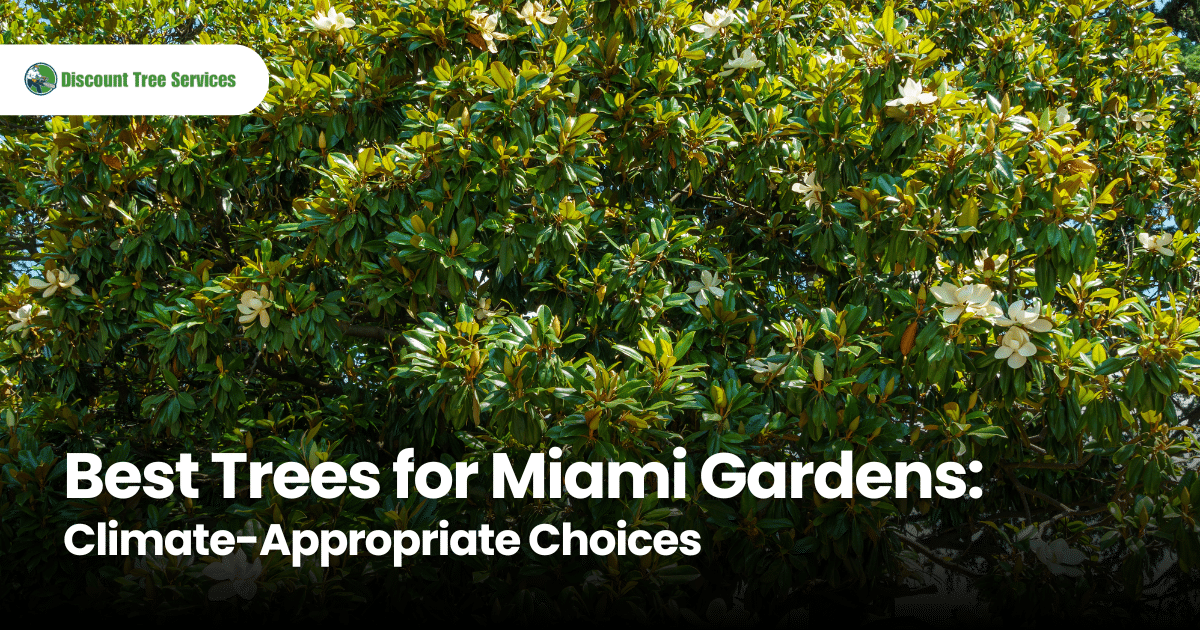 Best Trees for Miami Gardens | Top Choices & Care Tips